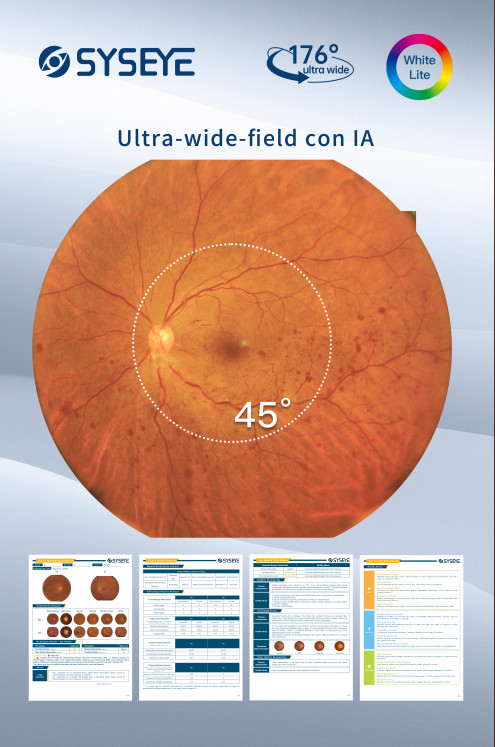 36th Pan-American Congress of Ophthalmology (PAAO 2025)
